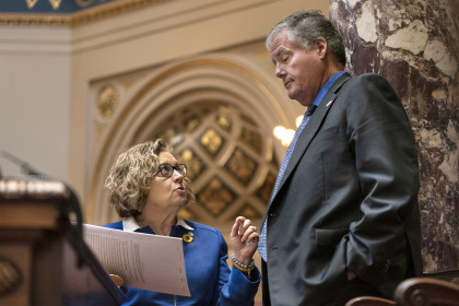Minnesota Senate