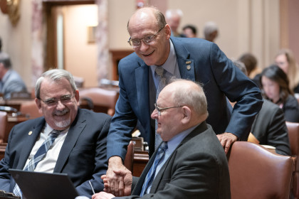 Minnesota Senate